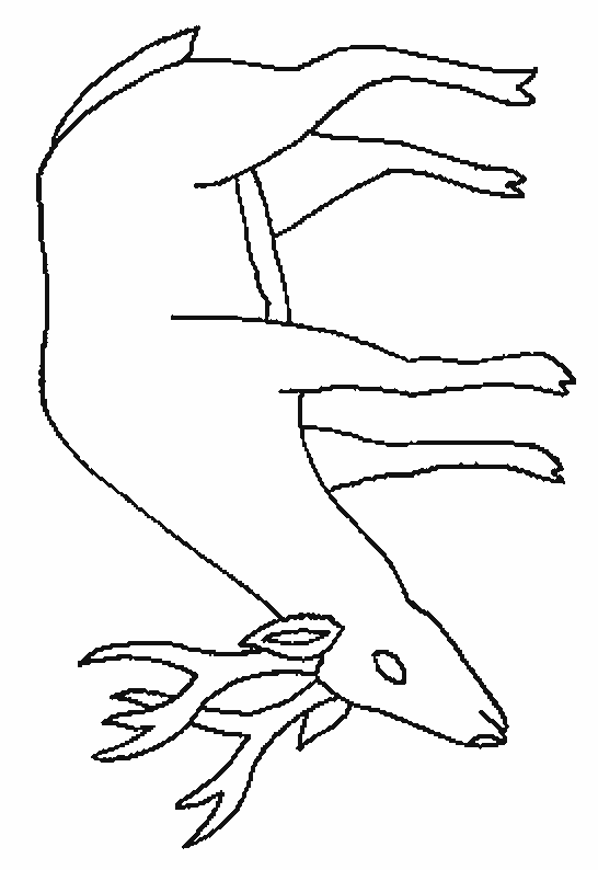 Disegno Cervi 9