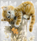 Gif Animate Gatti 11